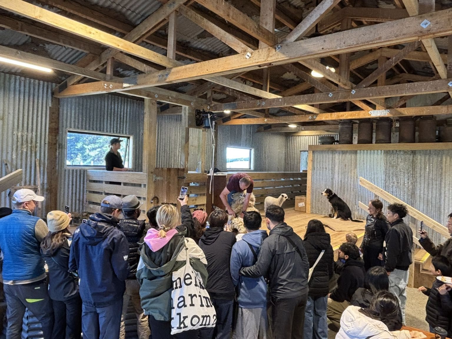 The Woolshed | Woodstone Farm
